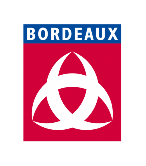 Accueil - INSEEC CONSEIL - BORDEAUX